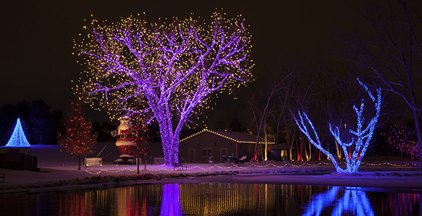 Christmas Lighting Experts Design Insights | by John Gibson | Medium