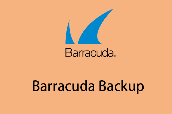 What Is Barracuda Backup? How Does It Back up/Restore Data? | by Daisy ...