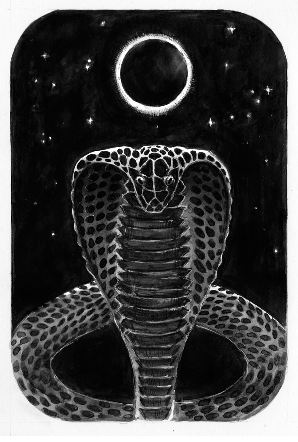 The Snake Of Sunlight - The Snake Of Sunlight - Medium