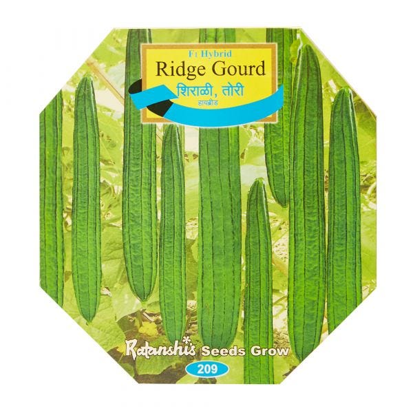 Gardening Guide: How to Grow and Harvest Ridge Gourd in Your Backyard ...