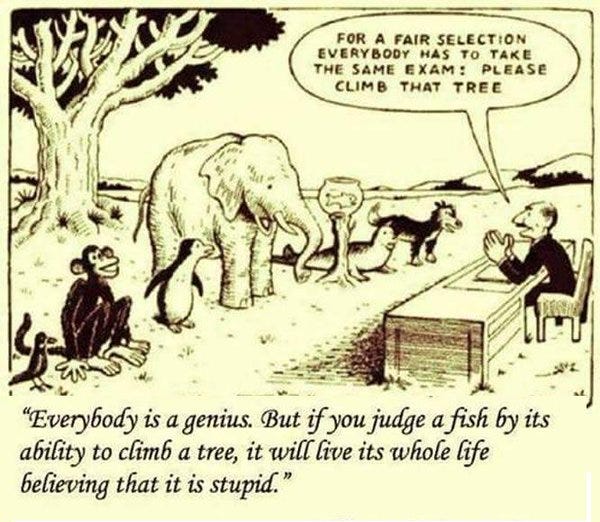 Please climb that tree. Most schools and colleges today teach… | by ...