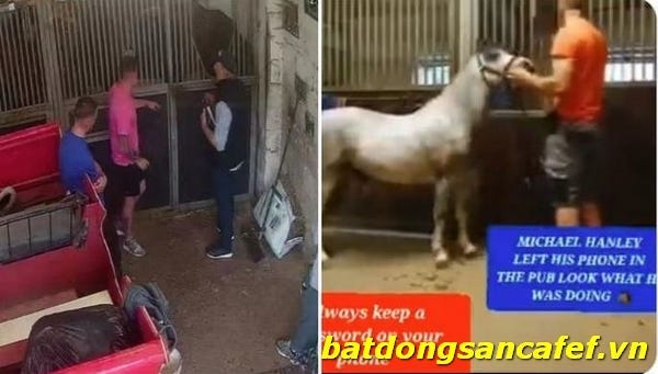 Full Video Michael Hanley Horse Leaked Viral On Media Social… | by ...