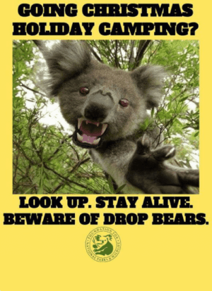 Drop Bear Warning