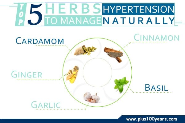 How to Reduce High Blood Pressure Naturally At Home - Plus100years - Medium