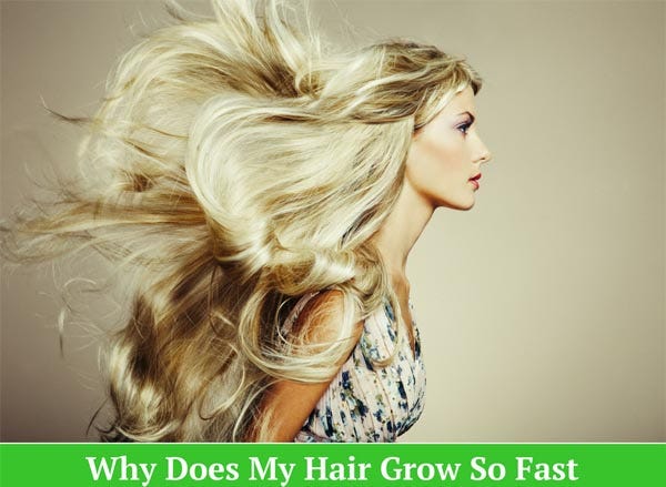 Why does My Hair Grow so Fast?. What we know about hair growth… | by ...