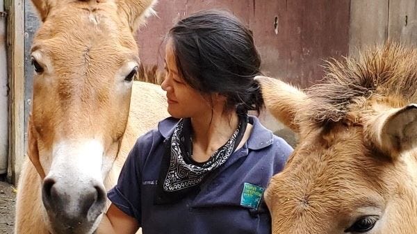 How Culture and Passion Clash for the Millennial Zookeeper | by ...