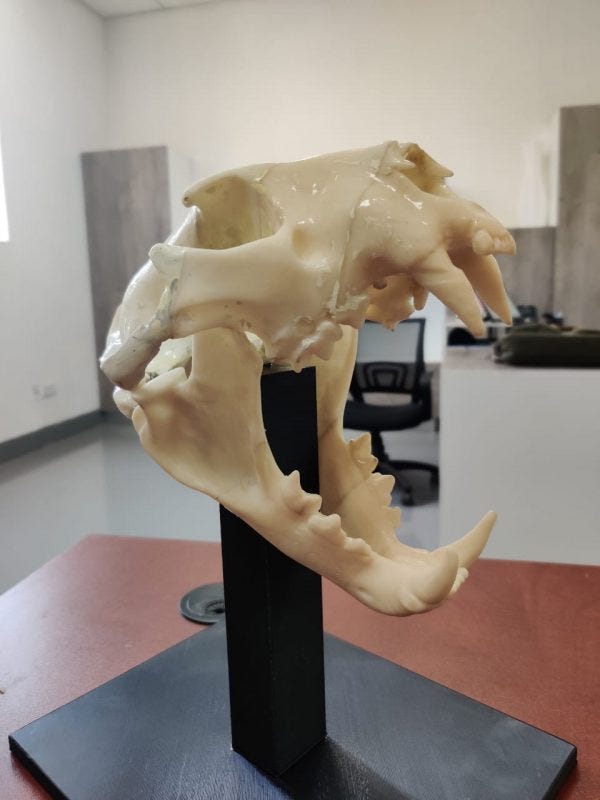 A Collector’s Dream Come True. The team at Impala 3D comprising of ...