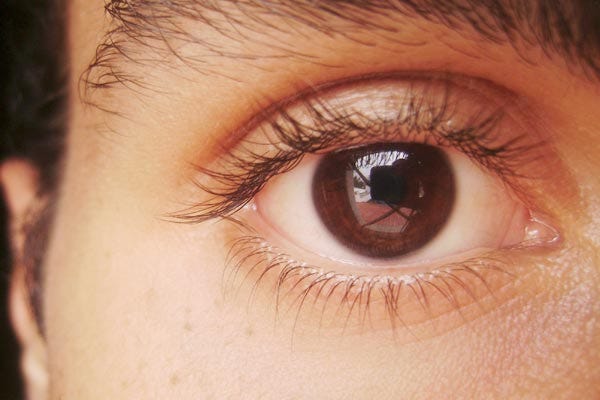 Exponer los ojos al sol puede causar enfermedades | by La protección al ...