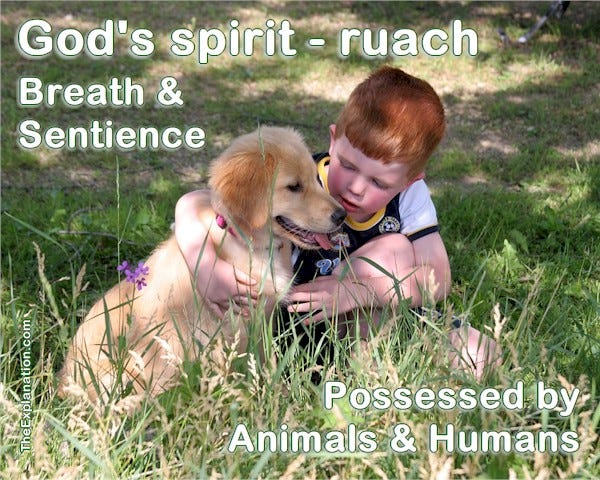 God’s spirit. The ruach Animates all Living Beings | by Sam Kneller ...