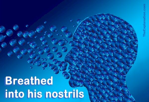 God Breathed into the Nostrils of His Dust Man | by Sam Kneller ...