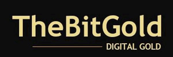 The BitGold Review. The problem that people often face when… | by ...