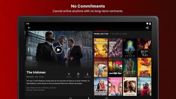 The Controversial Rise of Netflix Crack Versions: Navigating the Shadows of Digital Piracy | by ...
