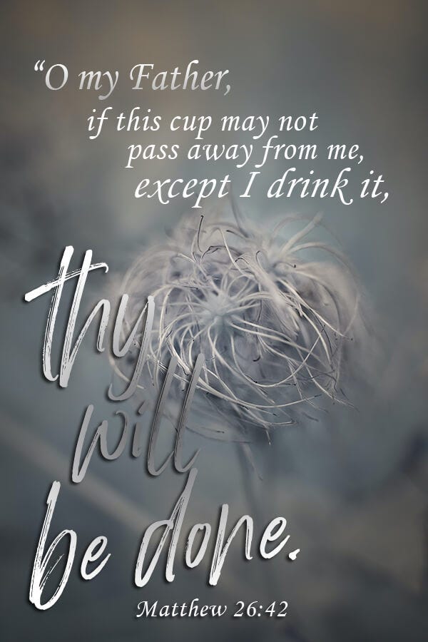 We sit with Jesus as He prays. We sit with our Lord | by Mrs Diane Mary ...