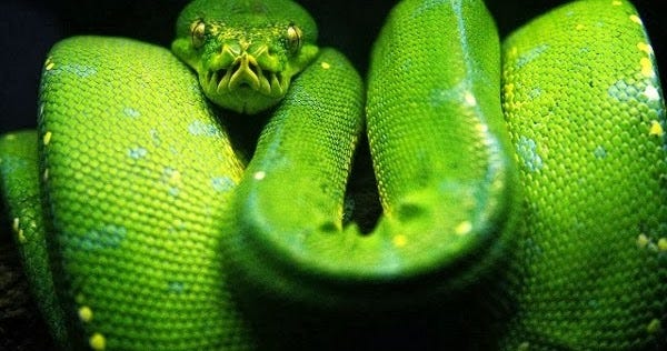 5 Powerful Python one-liners. Python one-liners can be just as… | by ...