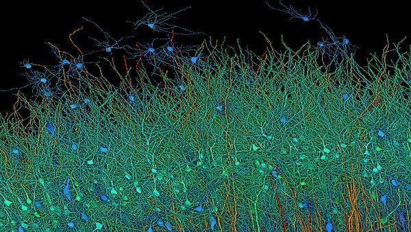 Google and Harvard University Created the Most Detailed Map of the ...