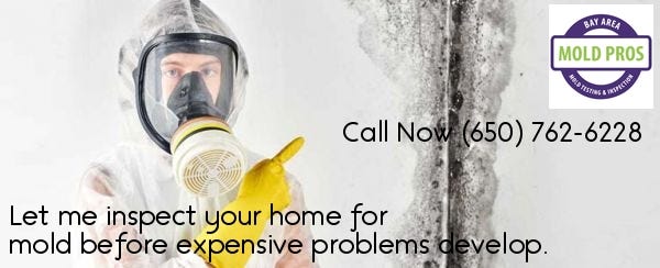Understanding the Distinction Between Mold Inspector and Mold ...