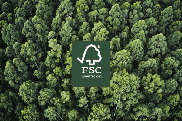 FSC: Por que esse selo é essencial para empresas? | by Marcos Thomaz - Marketing Digital | Medium