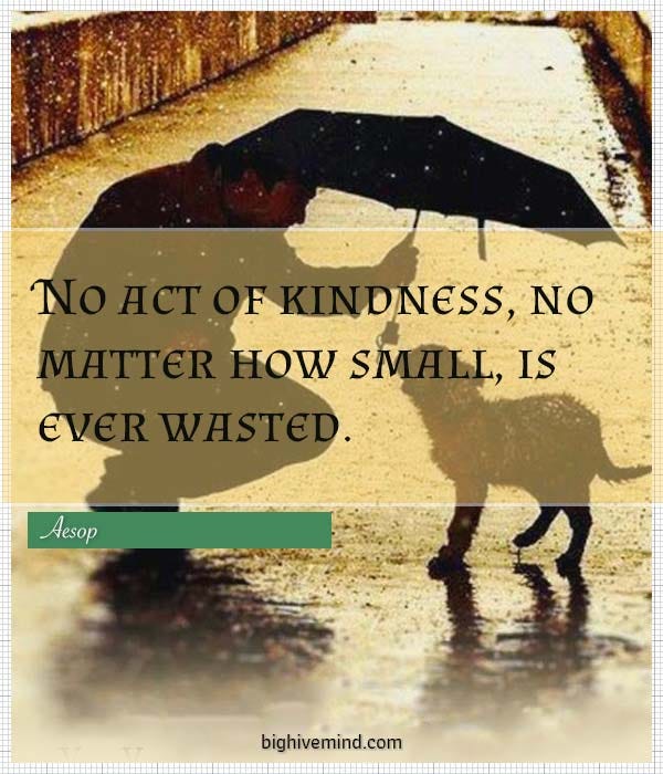 Kindness:. “Human kindness has never weakened the… | by Ammara Ansari ...