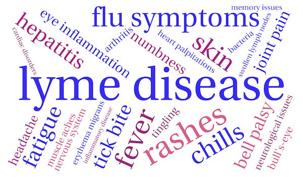 Lyme Disease Assessment of Treatments | by Evan Link | Medium