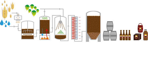 A Guide to Hops: What They Are, What They’re Used For, and How to Use ...