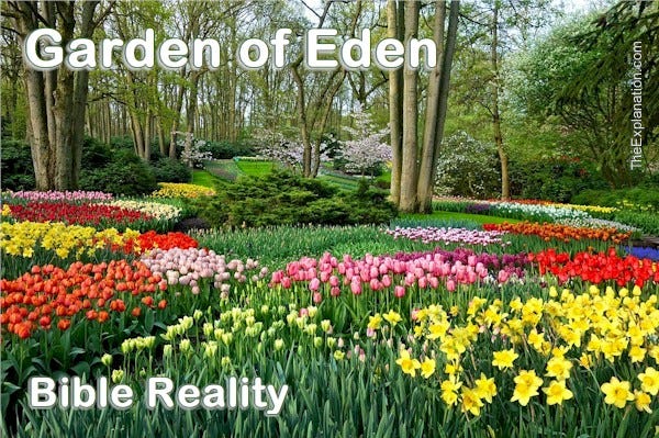 What Does The Garden Of Eden Look Like Today