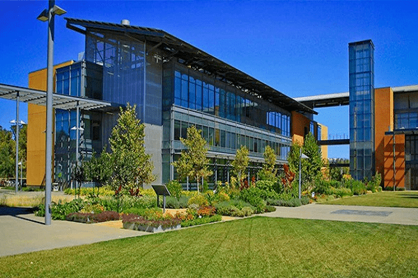 5 Best Veterinary Colleges in the USA 2022 | by Monkoodog | Medium