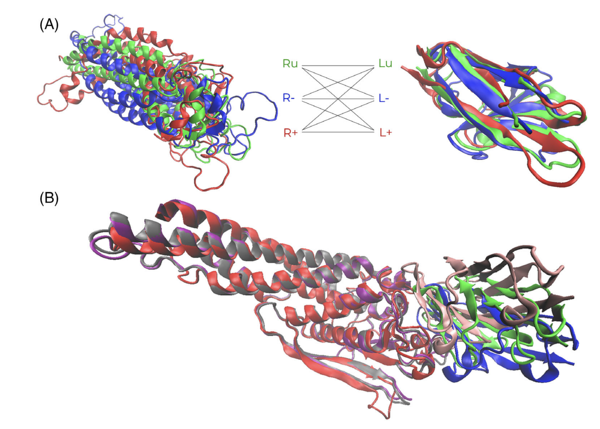 Accelerating Science: Modelling Protein-Protein Interactions With The ...