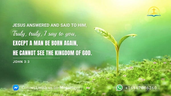 6 Important Bible Verses about Being Born Again | by @Rusk | Medium