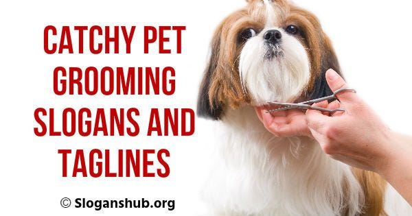 Dog Grooming Slogans: Paws-itively Perfect Phrases! | by Freeda Mast ...