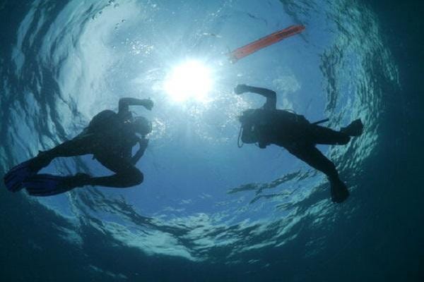 Know More About Padi Diving Courses | by Go Dive Mexico | Medium