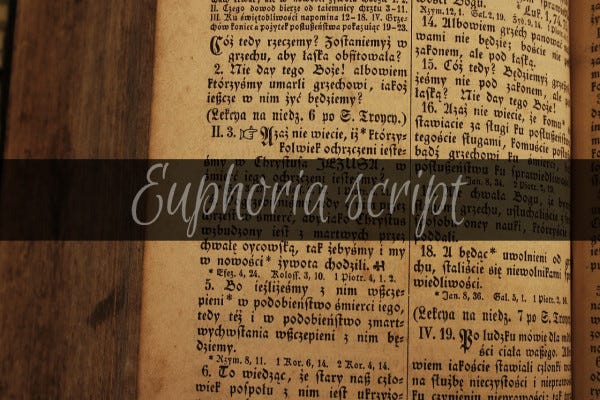 Euphoria Font - Cybercanvas - Medium