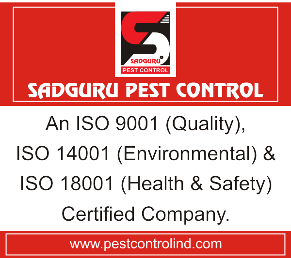 A Complete Guide on Mosquito Bite and Pest Control | by Sadguru Pest ...