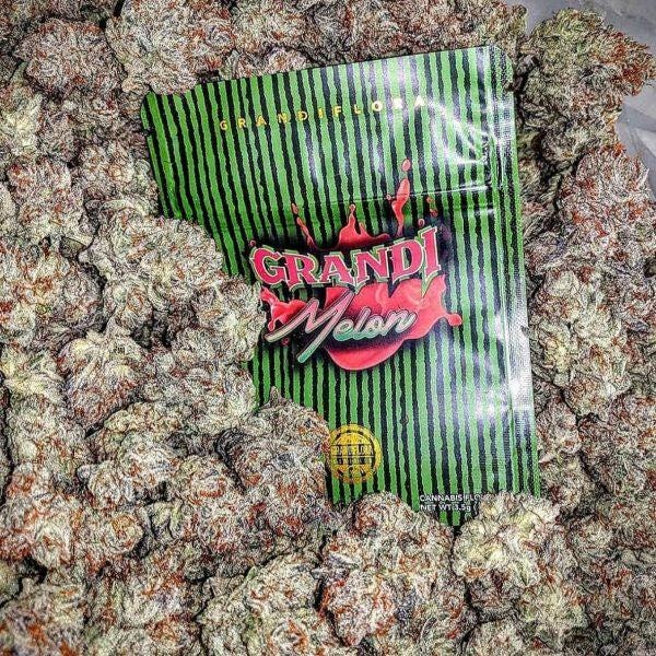 Exploring the Grandiflora Dispensary Experience: A Journey into the ...