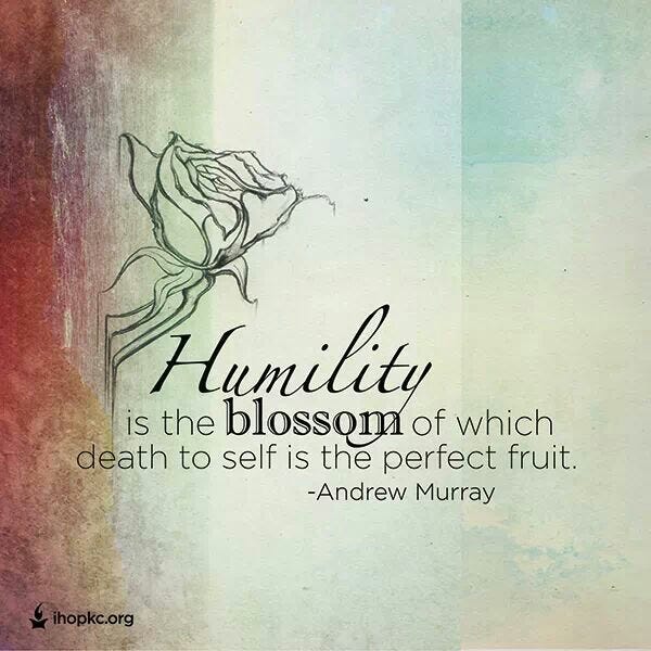 31 Days {Day 11} 🌸 Being in Humility | by Karen Beth Courcy | Finding ...