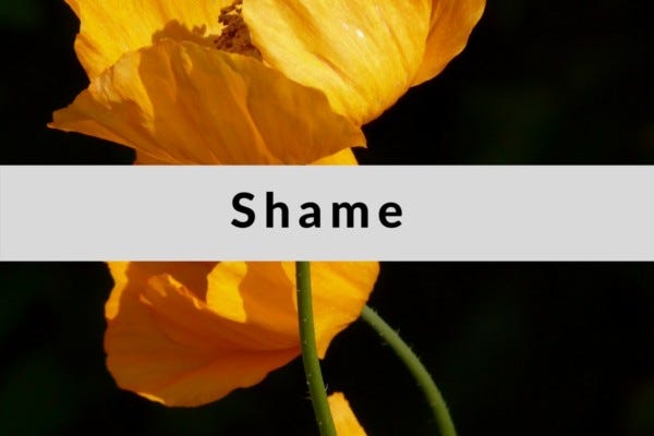 Shame | by Cheryl Marlene | Medium
