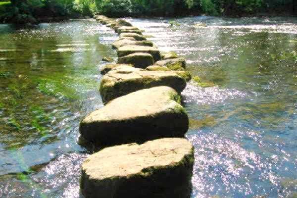 12 Stepping Stones of Life — The Lessons of Wisdom | by ...