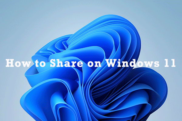 How to Share a File/Folder/Drive on Windows 11? | by Sherry li | Medium