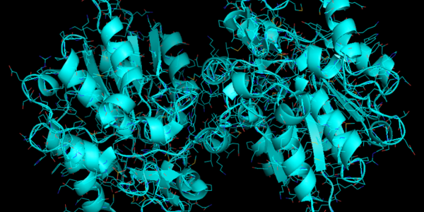 New Ai Is Predicting Enzyme Functions Better Than Leading Tools By Odsc Open Data Science