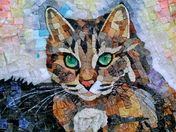 Encoding Categorical Features With High Cardinality By Katerina Fomkina Medium