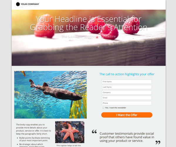 Responsive Landing Page Theme: Snap | by PageMutant | PageMutant