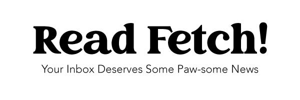 Read Fetch! | 2022/01/19 | Issue: 001 | by Branch Manager | Read Fetch ...