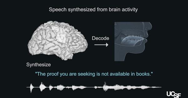 Telepathic Computing + Wholefoods Chatbot Case Study | by CognitionX ...