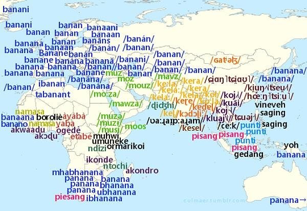 The Surprising Origins of Words Used in Many Languages | by Emre Turan ...