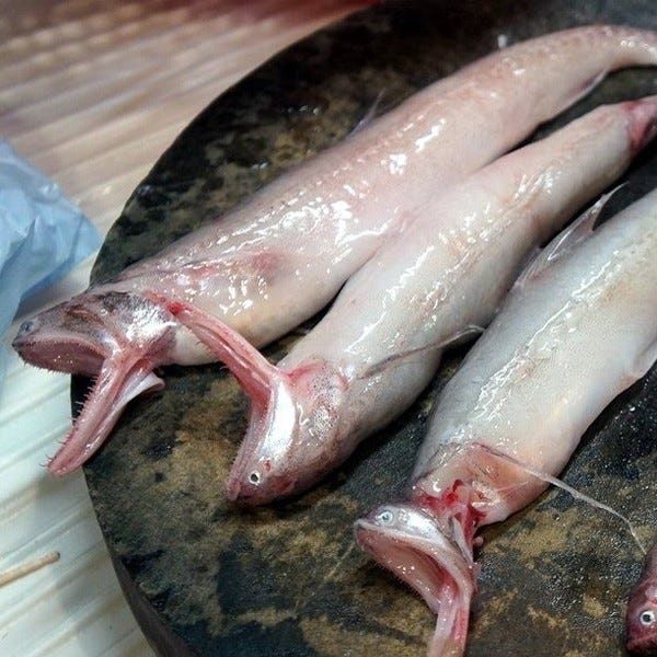 Famous Fish Market in Mumbai. The Bombay Fish Shop in Thane Mumbai is ...