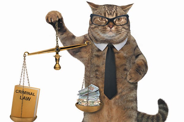 How These 3 Animals Ended Up In Court Will Make You Laugh Out Loud | by ...