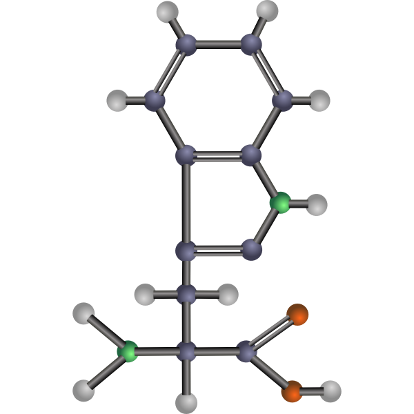Amino Acids in Homeostasis, Health, and Disease | by Safia Fatima ...