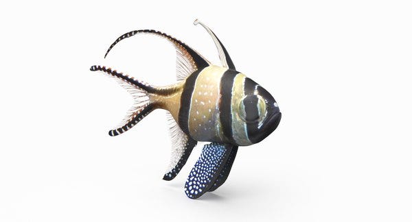 Week03 Endangered Animal. My Endangered Animal is Banggai… | by Ruiyang ...