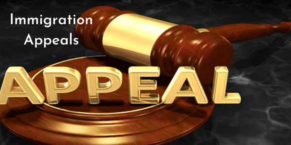 Immigration Appeals - Jones Lee - Medium