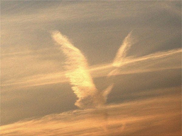 Healing Isn’t Linear: When Old Thoughts Meet the New You | by Julia Swan | Jul, 2025 | Medium