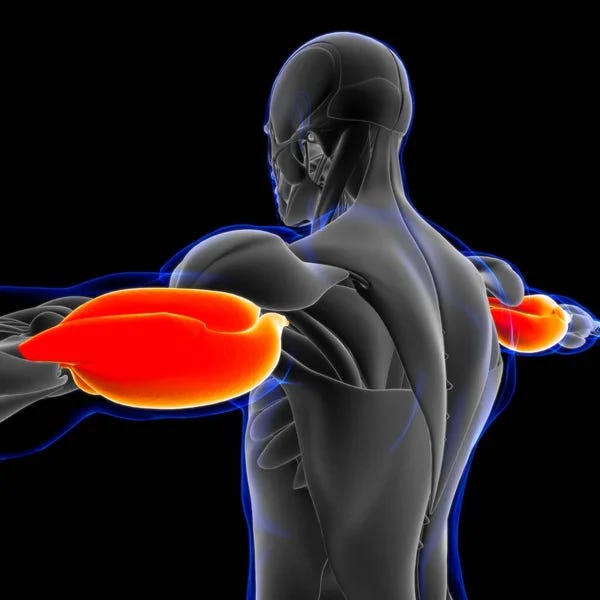2 Bodyweight Exercises To Build Your Triceps At Home | by Mike Mahon ...